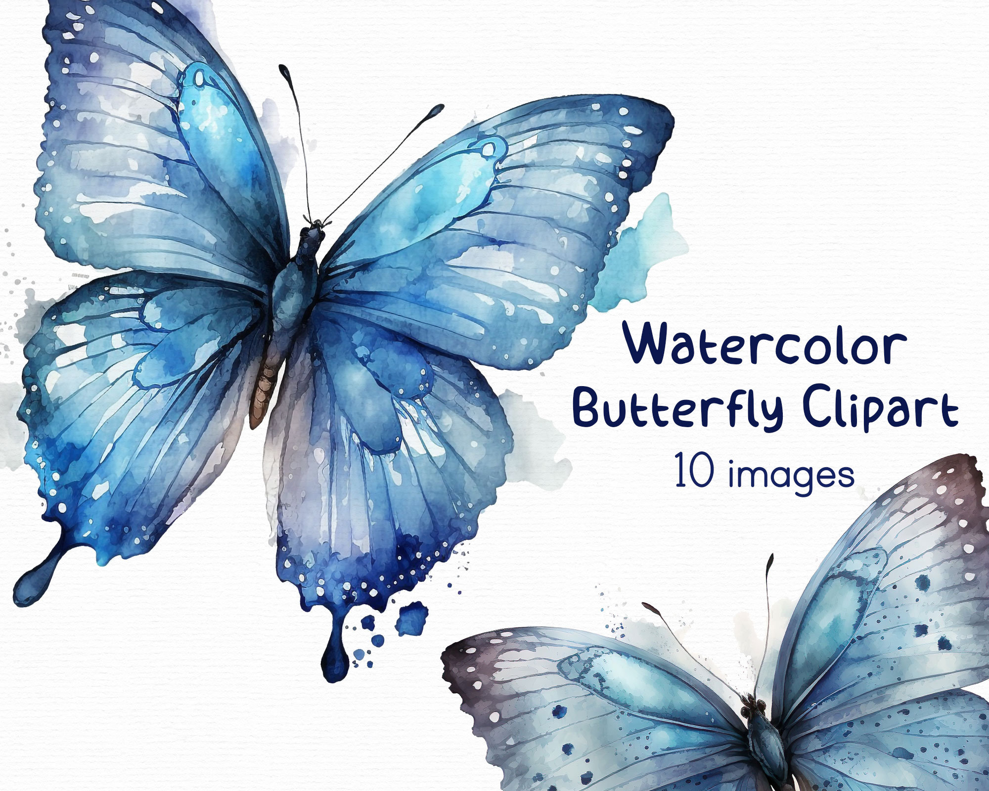 Watercolor Butterfly Clipart PNG Blue Butterfly Clip Art - Etsy