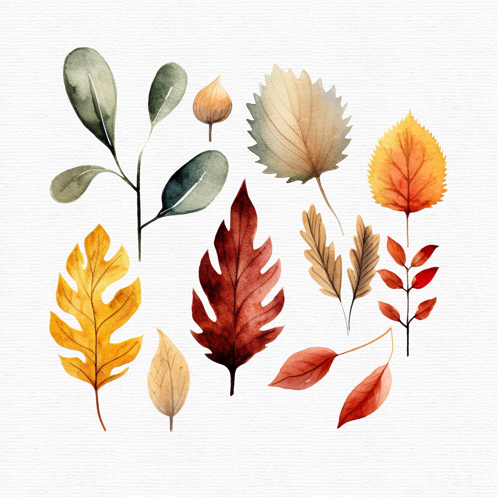 Fall Clipart, Autumn Leaves Clip Art, 70 Png Files With Transparent ...