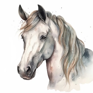 Watercolor White Horses Clipart, Horse Clip Art, Animal Clipart, Horses ...