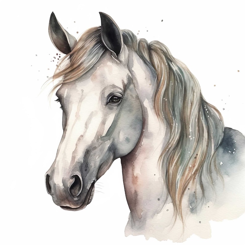 Watercolor White Horses Clipart, Horse Clip Art, Animal Clipart, Horses ...