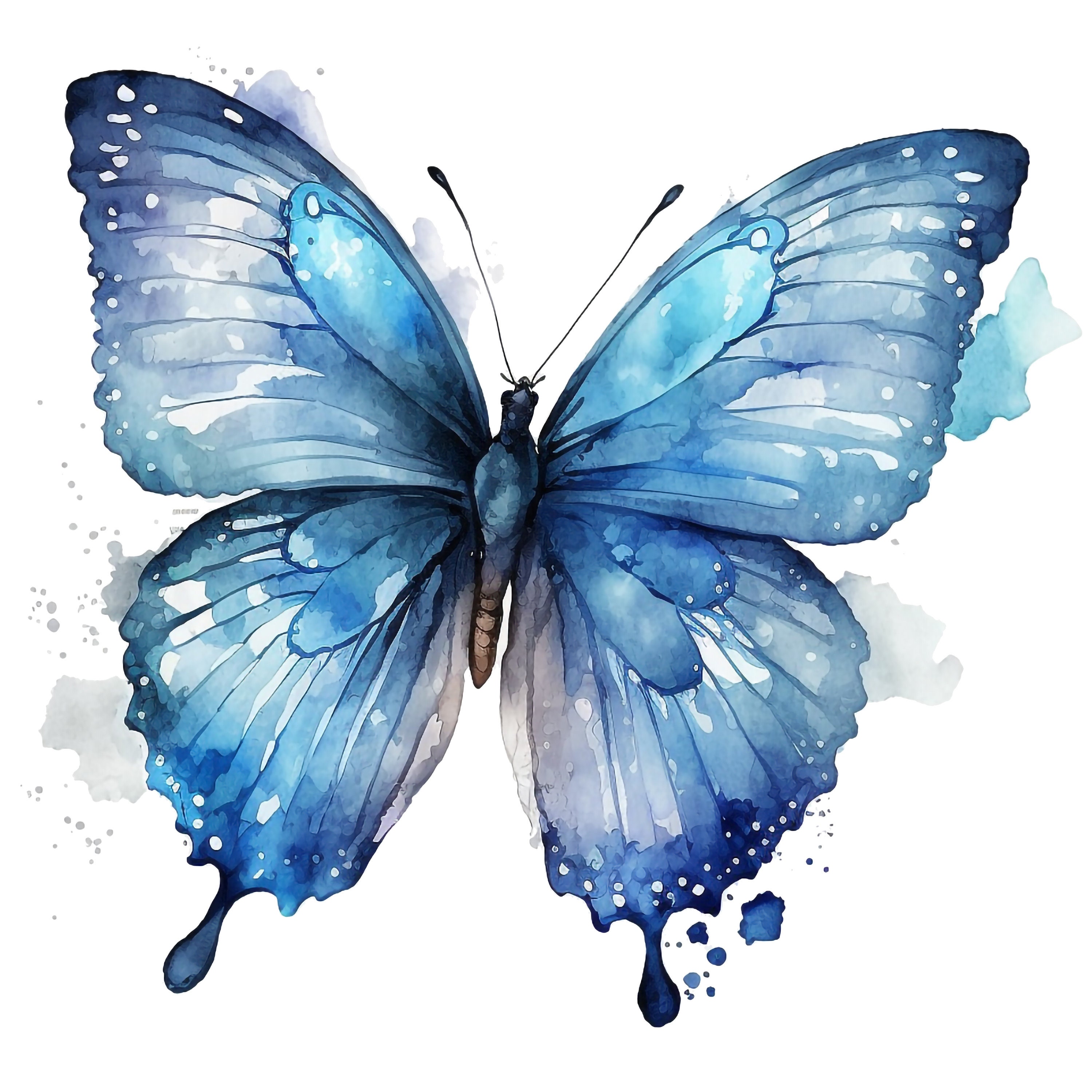 Watercolor Butterfly Clipart PNG Blue Butterfly Clip Art - Etsy