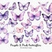 Purple Butterfly Clipart, Flowers Clipart, 50 Png Files With ...