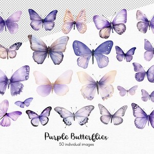 Purple Butterfly Clipart, Flowers Clipart, 50 Png Files With ...