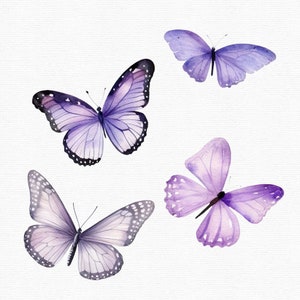 Purple Butterfly Clipart, Flowers Clipart, 50 Png Files With ...
