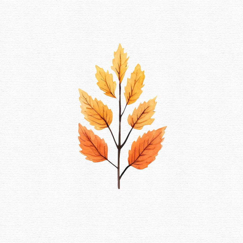 Fall Clipart, Autumn Leaves Clip Art, 70 Png Files With Transparent ...