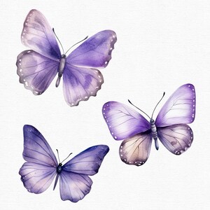 Purple Butterfly Clipart, Flowers Clipart, 50 Png Files With ...