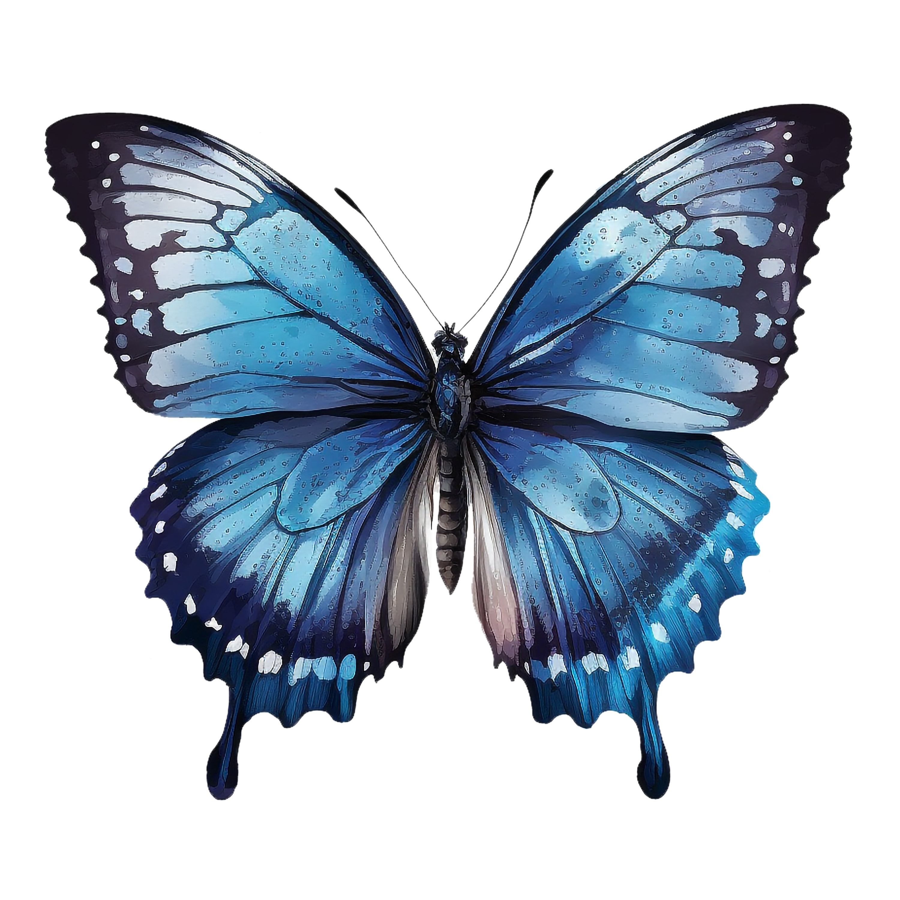 Blue Butterfly Transparent Background