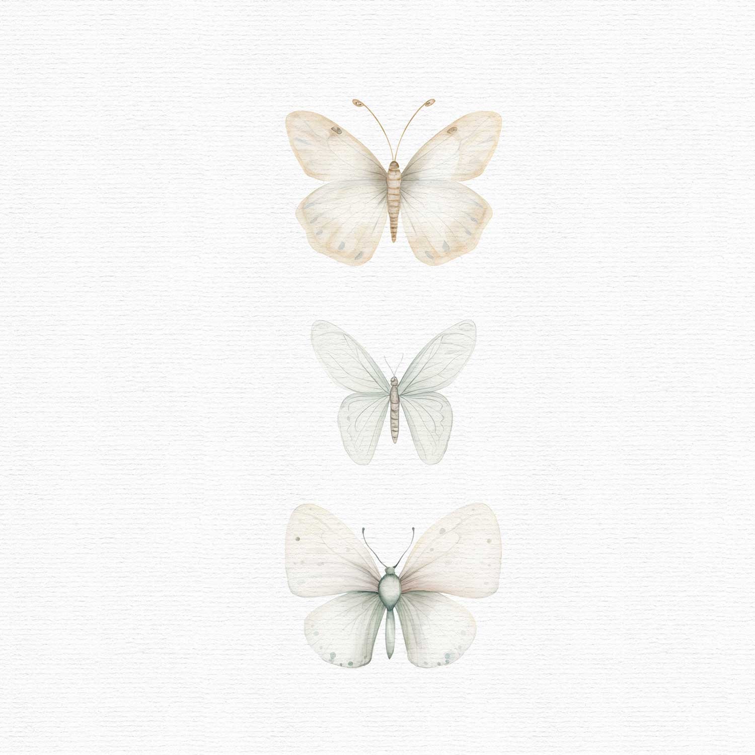 White Butterfly Clipart, 20 Png Files With Transparent Background ...