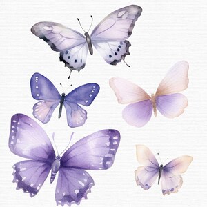 Purple Butterfly Clipart, Flowers Clipart, 50 Png Files With ...