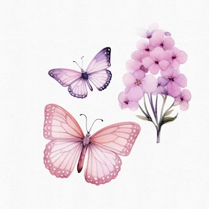Purple Butterfly Clipart, Flowers Clipart, 50 Png Files With ...
