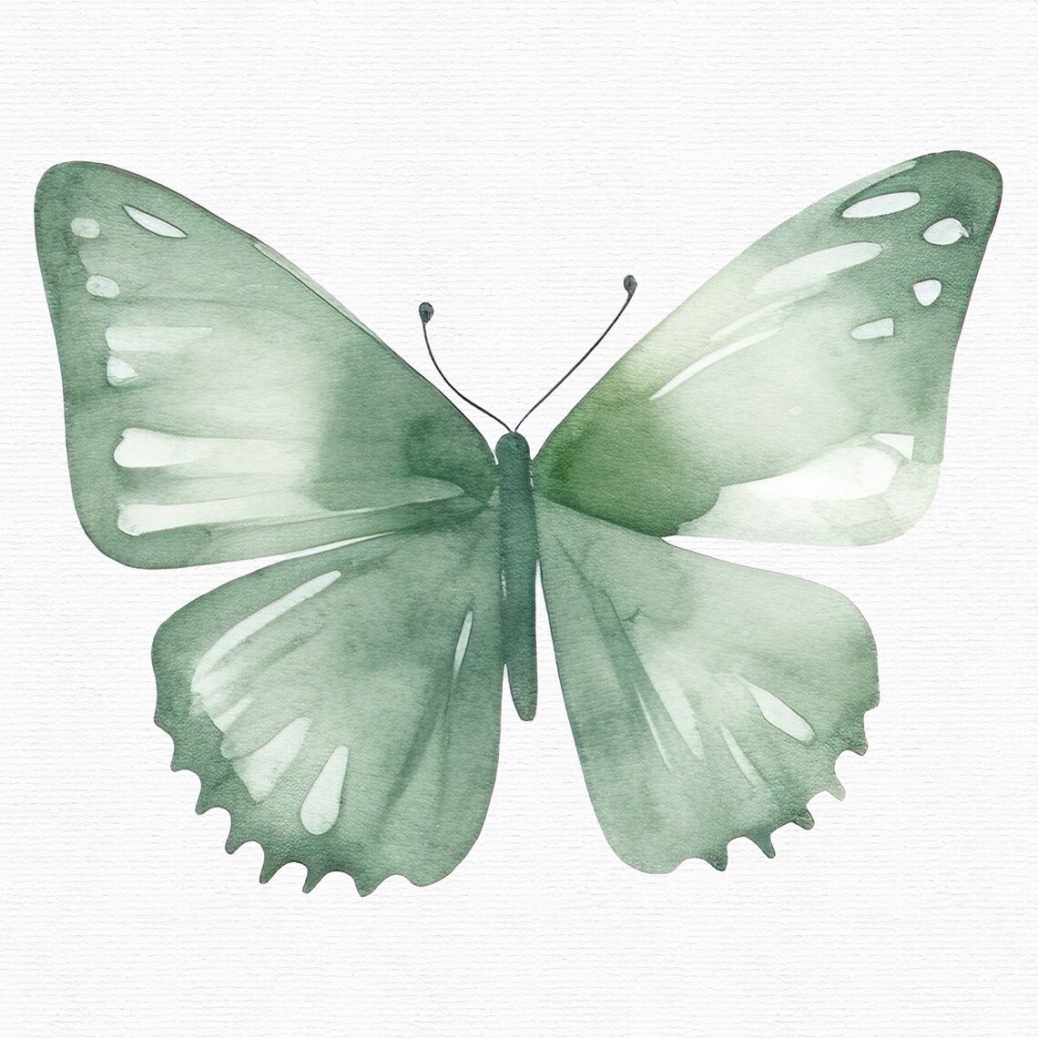 Green Butterfly Clipart, Flowers Clipart, 40 Png Files With Transparent ...
