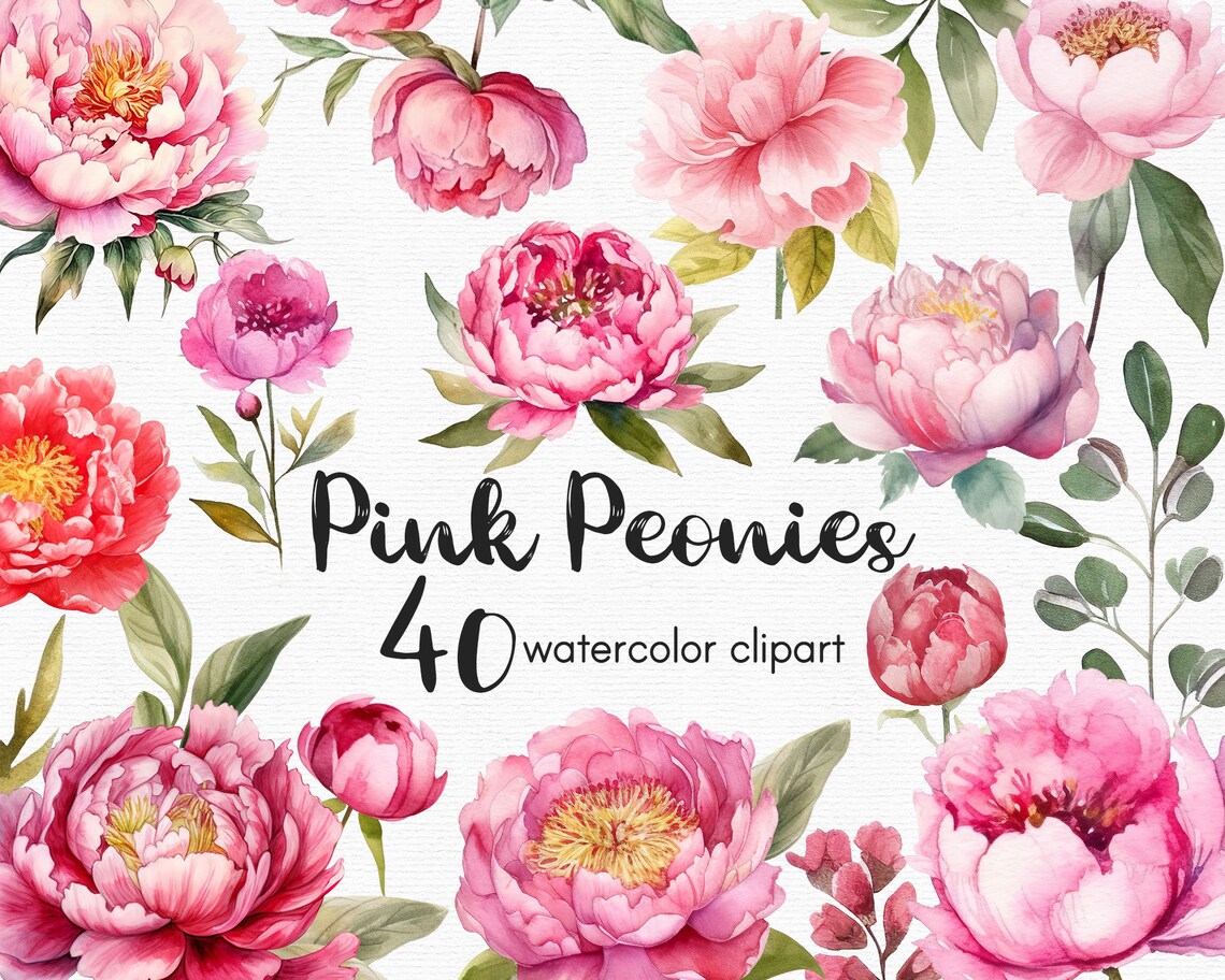 Watercolor Pink Peonies Clipart Flowers Clipart 40 Png Files - Etsy