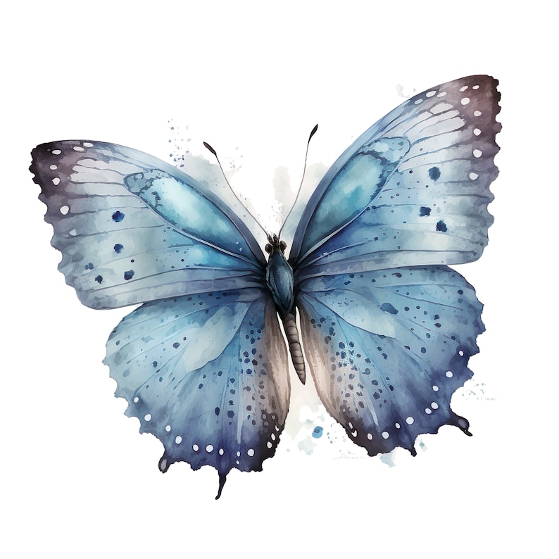 Watercolor Butterfly Clipart PNG Blue Butterfly Clip Art - Etsy