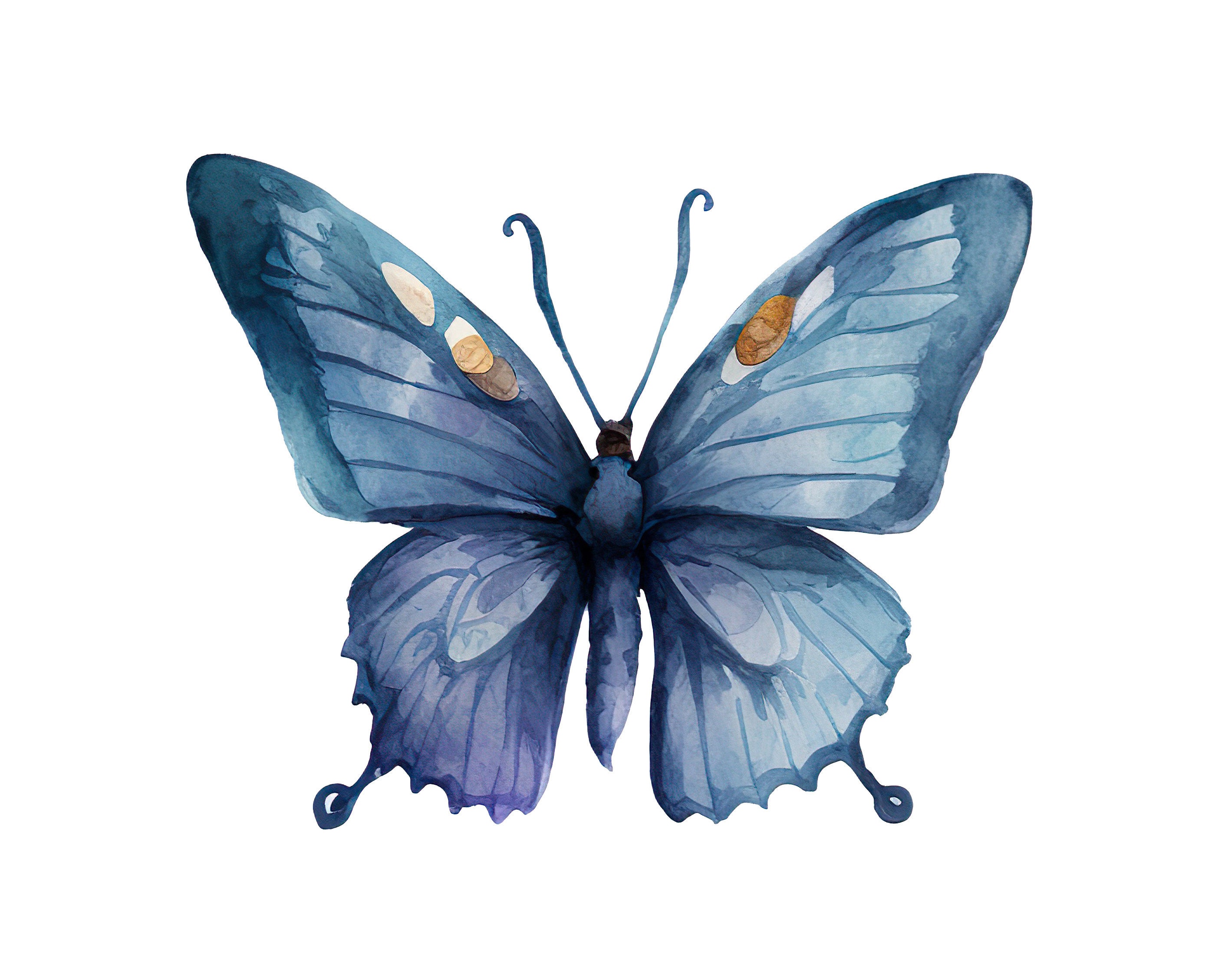 Blue Butterfly Clipart Flowers Clipart 20 Png Files With - Etsy