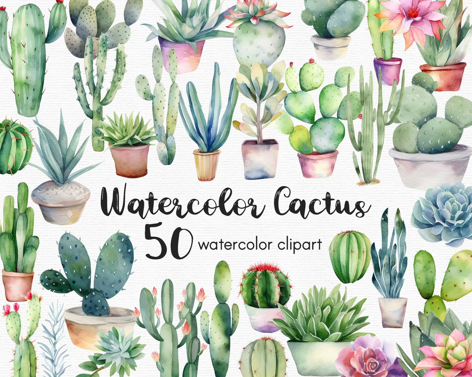 Cactus Clipart, Flower Clipart, 50 Png Files With Transparent ...