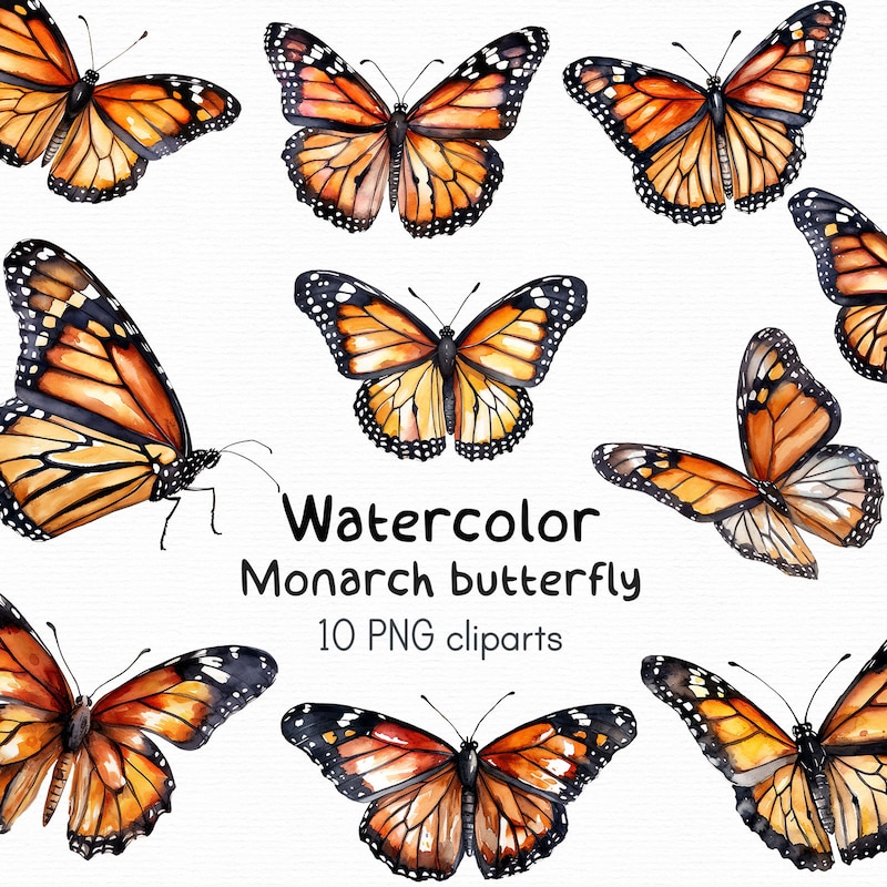 Monarch Butterfly Watercolor - Etsy