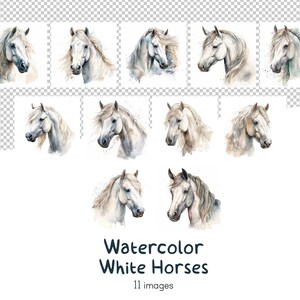 Watercolor White Horses Clipart, Horse Clip Art, Animal Clipart, Horses ...