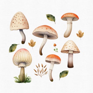 Mushroom Clipart Magic Mushrooms Clipart, Amanita Mushroom, 40 Png ...