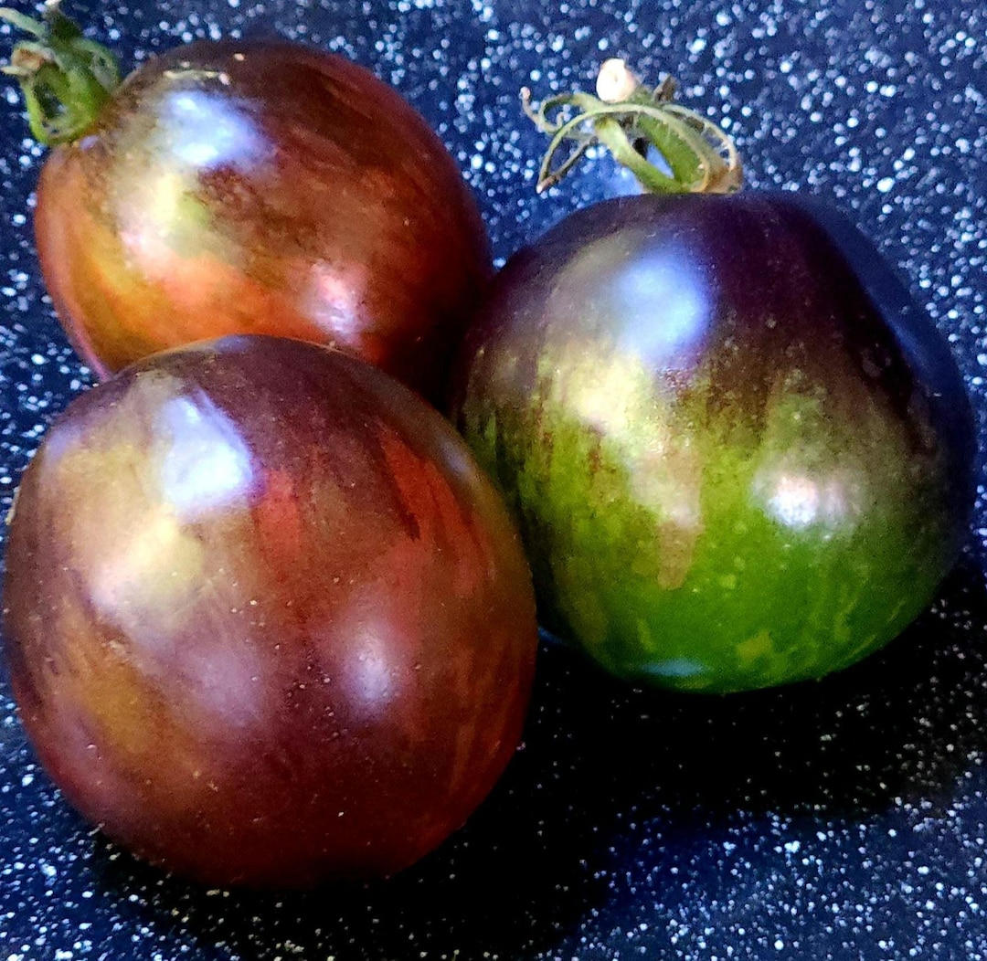 Cosmic Eclipse Tomato 20 Seeds Heirloom, Organic - Etsy