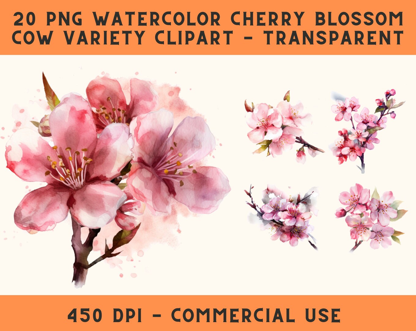 20 Watercolor Cherry Blossom Clipart, Transparent Background PNG ...