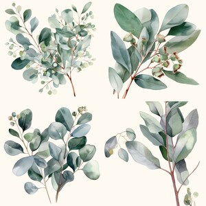 40 Eucalyptus Watercolor Clipart Elements, Wreaths, Green&gold Clipart ...
