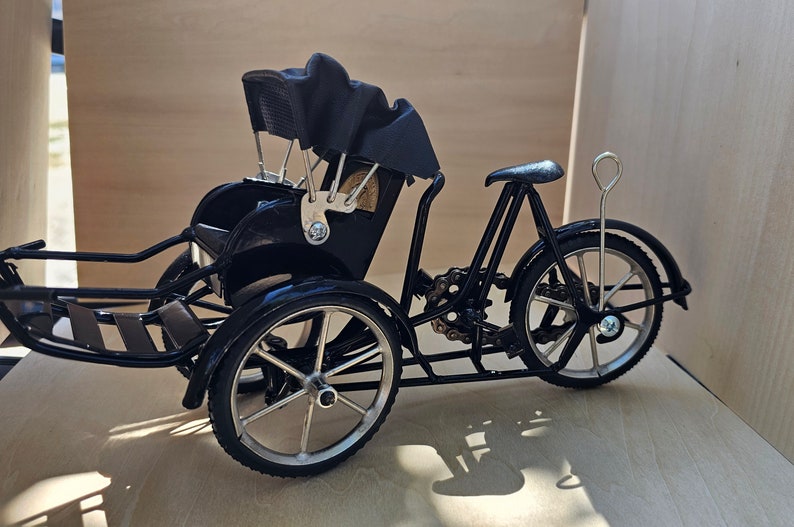 Stainless Steel Cyclo Rickshaws of Asian - Etsy