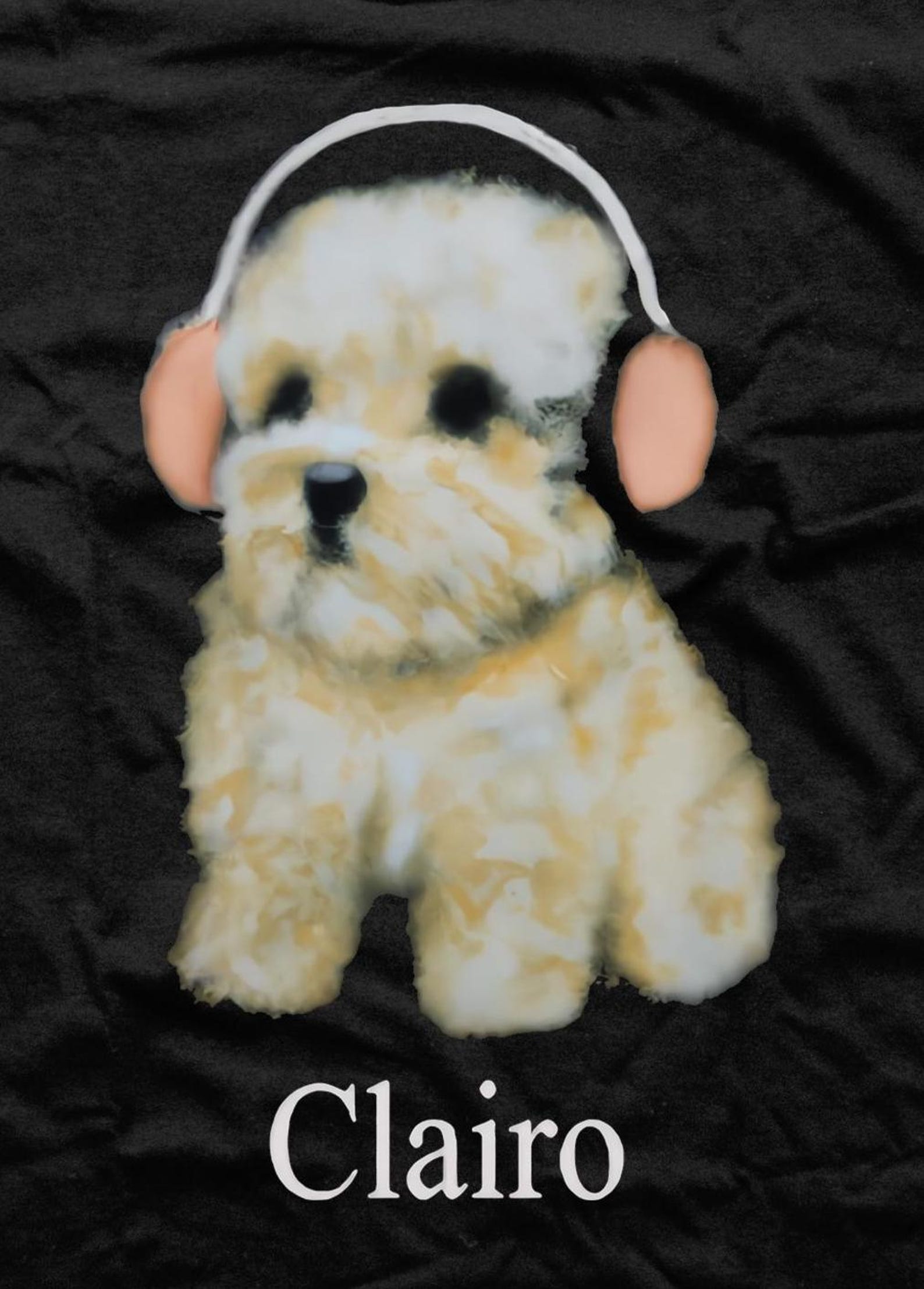 Clairo Dog Graphic Tee - Gildan 5000 T-shirt - Etsy