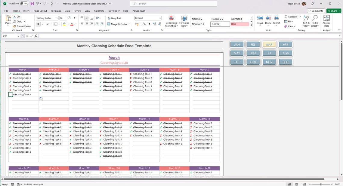 Monthly Cleaning Schedule Excel Template One Year Cleaning - Etsy