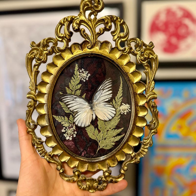 real-butterfly-framed-etsy