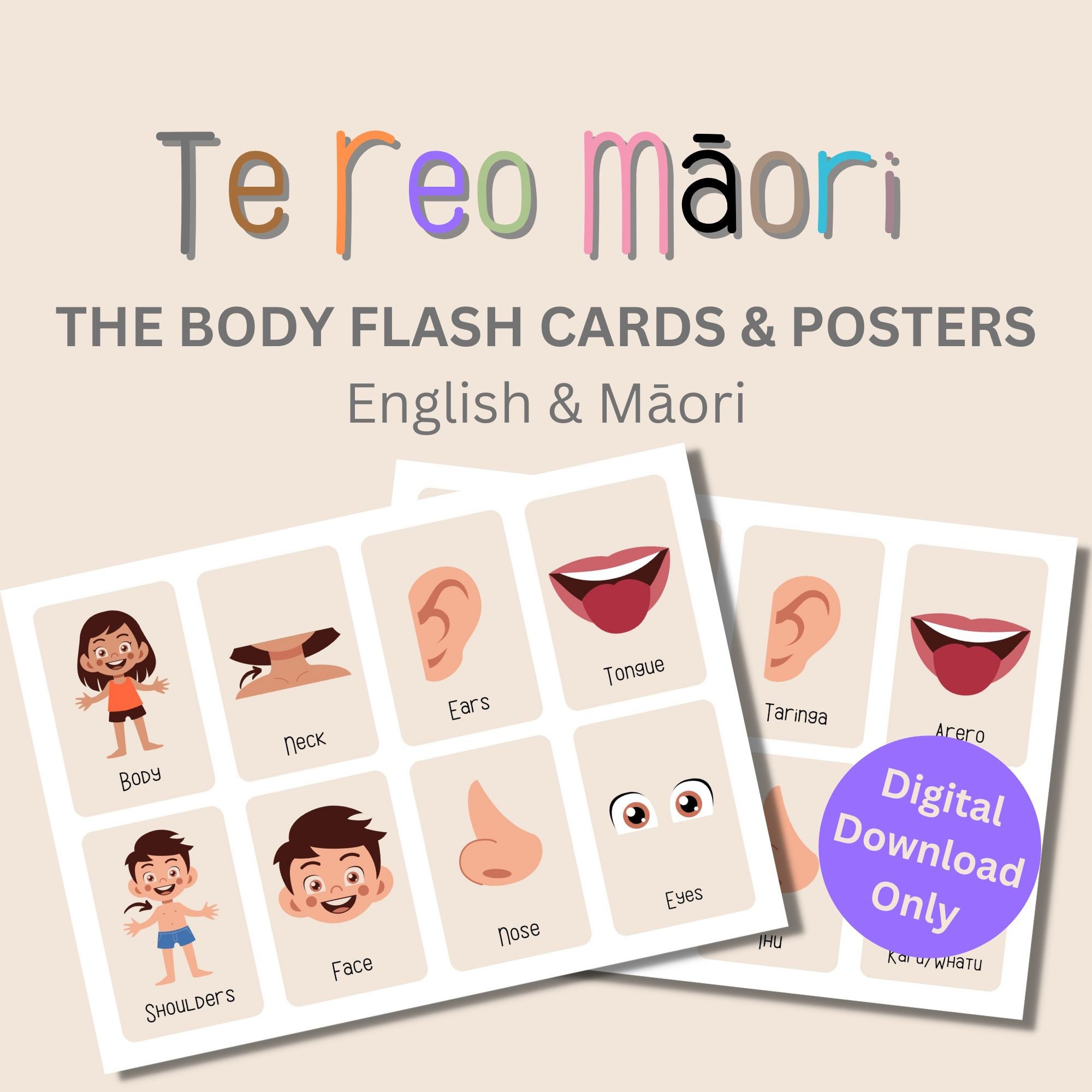 Learning Body Parts in Te Reo Māori | Flash Cards & Posters - Etsy
