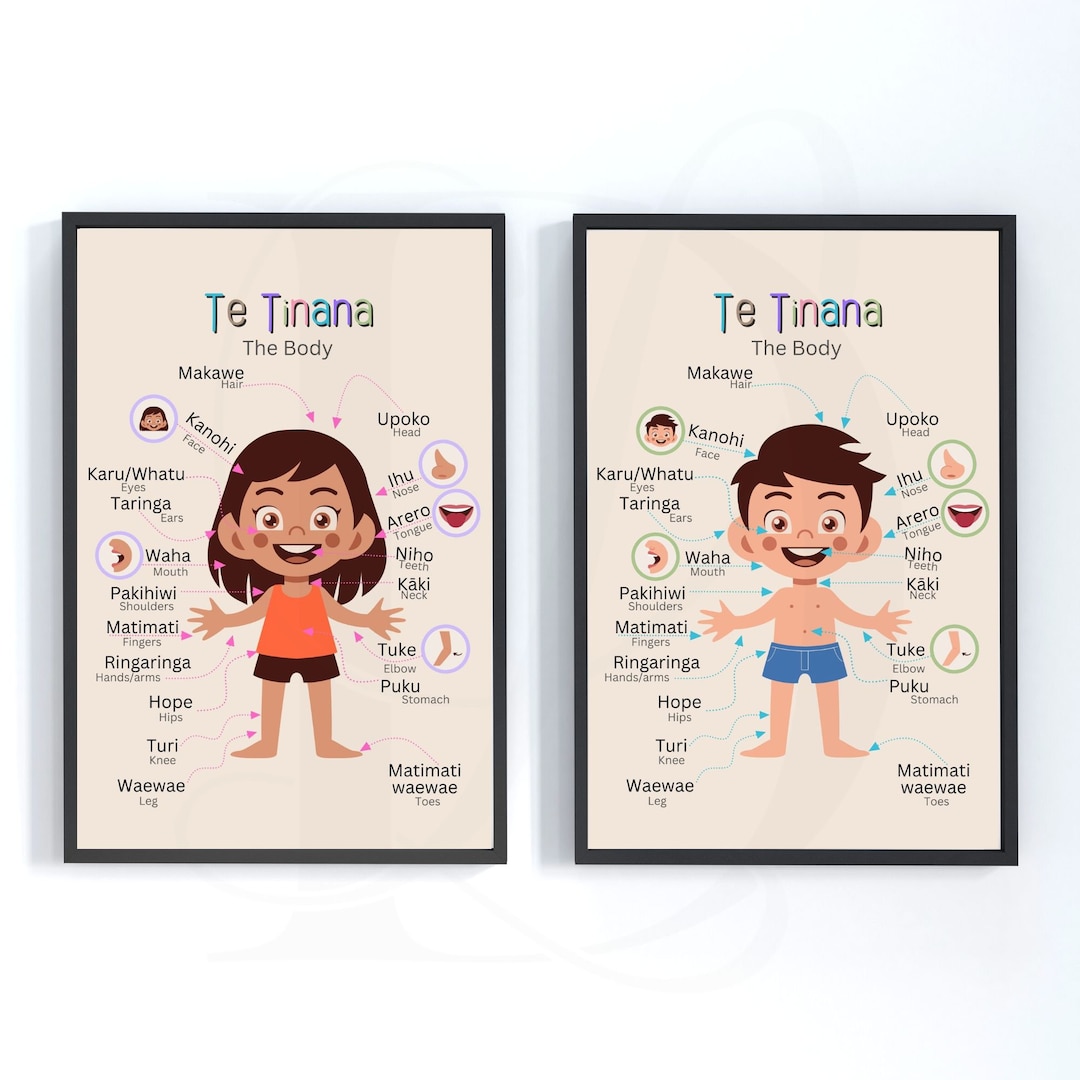 Learning Body Parts in Te Reo Māori | Flash Cards & Posters - Etsy