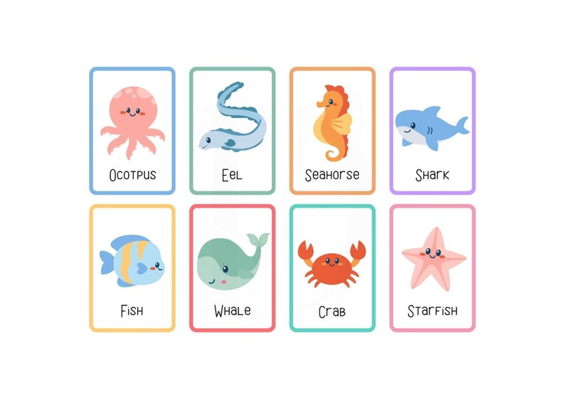 Under the Sea Flashcards | Cute Sea Animals Colourful Educational ...