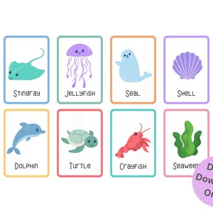 Under the Sea Flashcards | Cute Sea Animals Colourful Educational ...