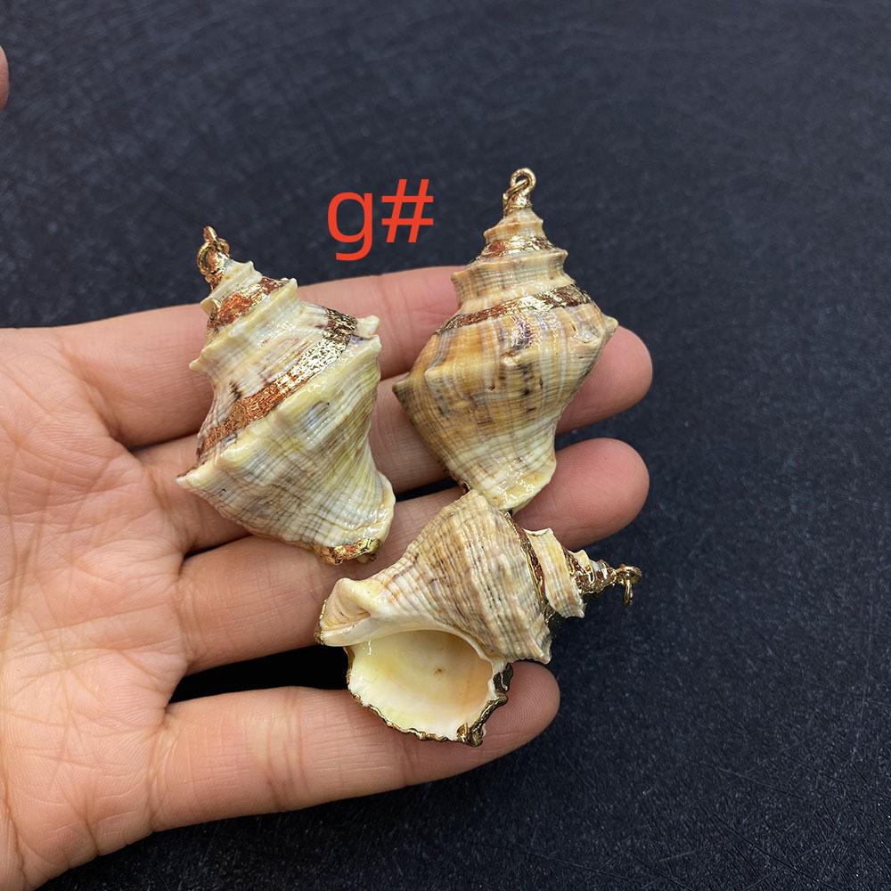 Natural Shell Charm, 3D Conch Charm, Marine Life Decoration Charm ...