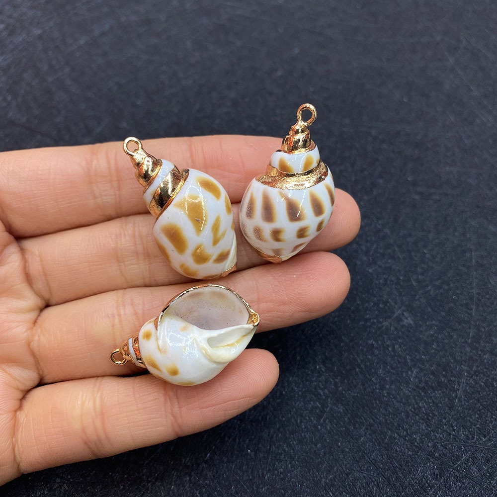 Natural Shell Charm, 3D Conch Charm, Marine Life Decoration Charm ...