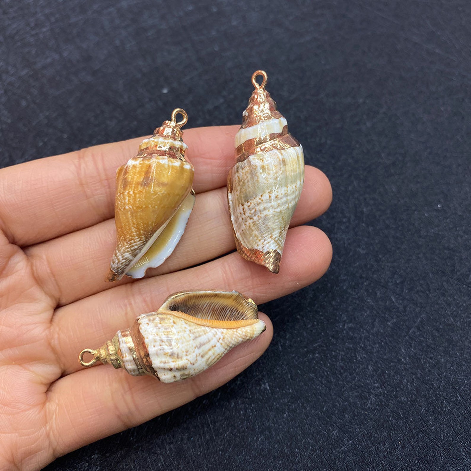 Natural Shell Charm, 3D Conch Charm, Marine Life Decoration Charm ...