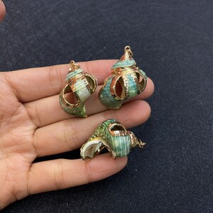 Natural Shell Charm: 3D Conch Pendant for Necklace or Keyring - Etsy