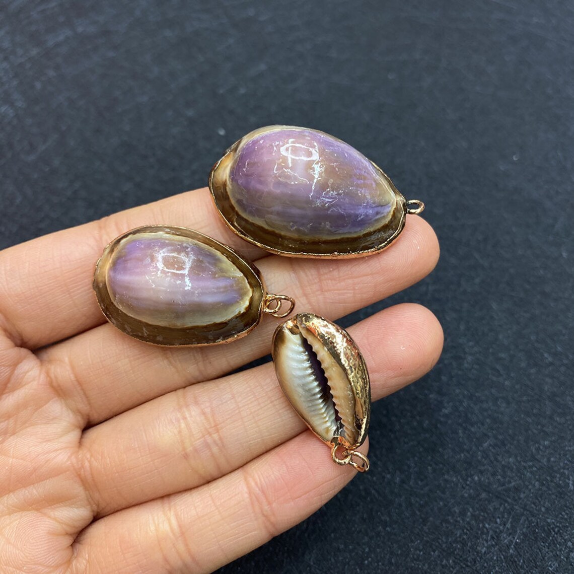 Natural Shell Charm, 3D Conch Charm, Marine Life Decoration Charm ...