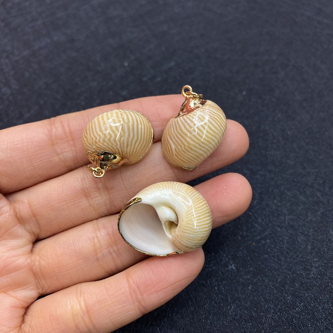 Natural Shell Charm, 3D Conch Charm, Marine Life Decoration Charm ...