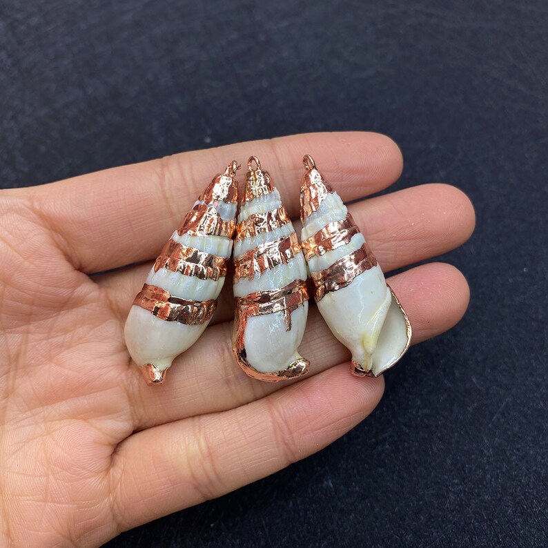 Natural Shell Charm, 3D Conch Charm, Marine Life Decoration Charm ...