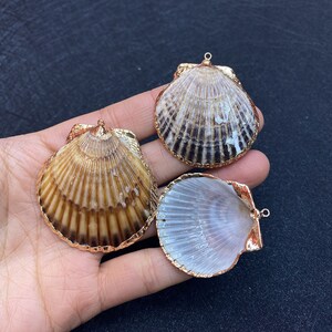 Natural Shell Charm, 3D Conch Charm, Marine Life Decoration Charm ...