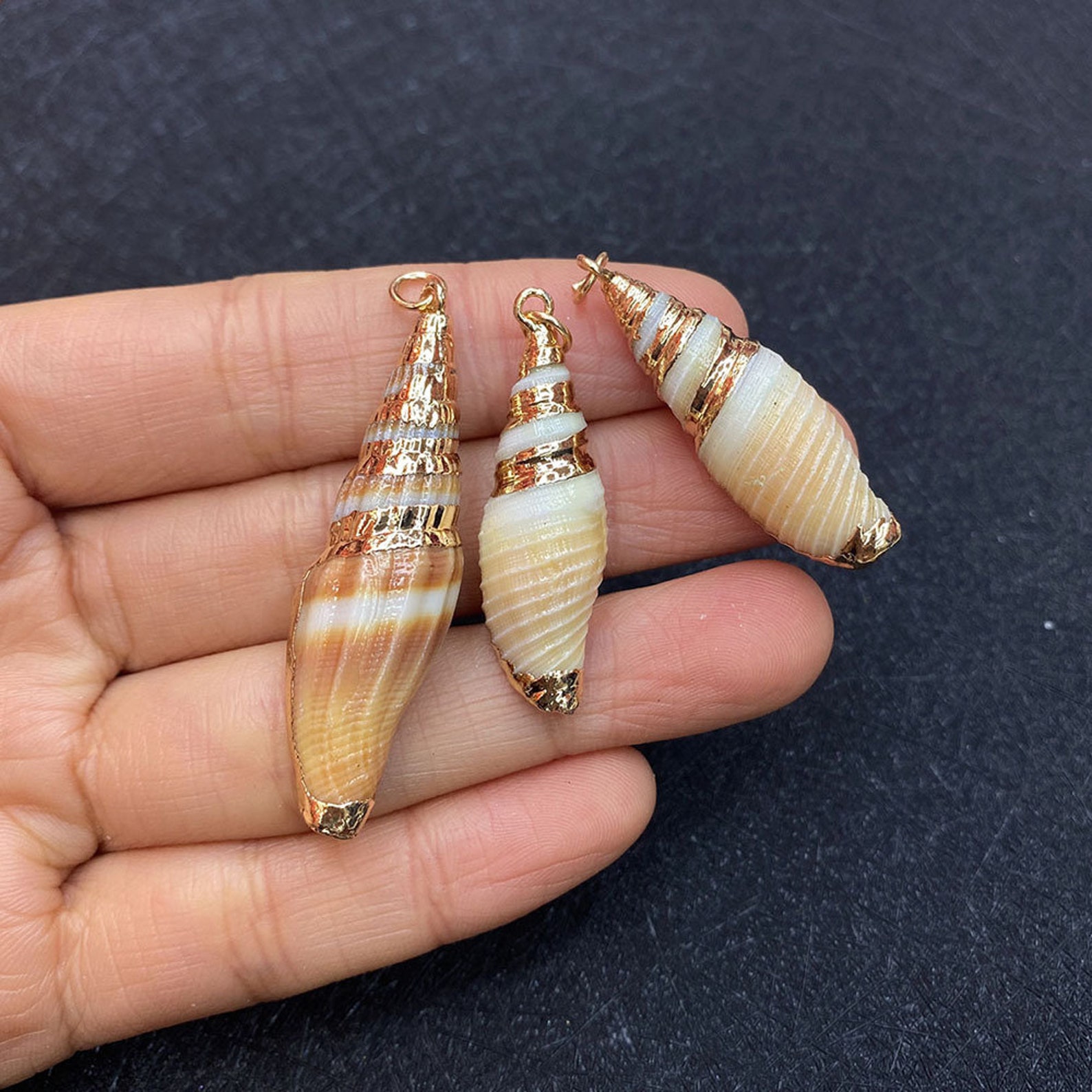 Natural Shell Charm, 3D Conch Charm, Marine Life Decoration Charm ...