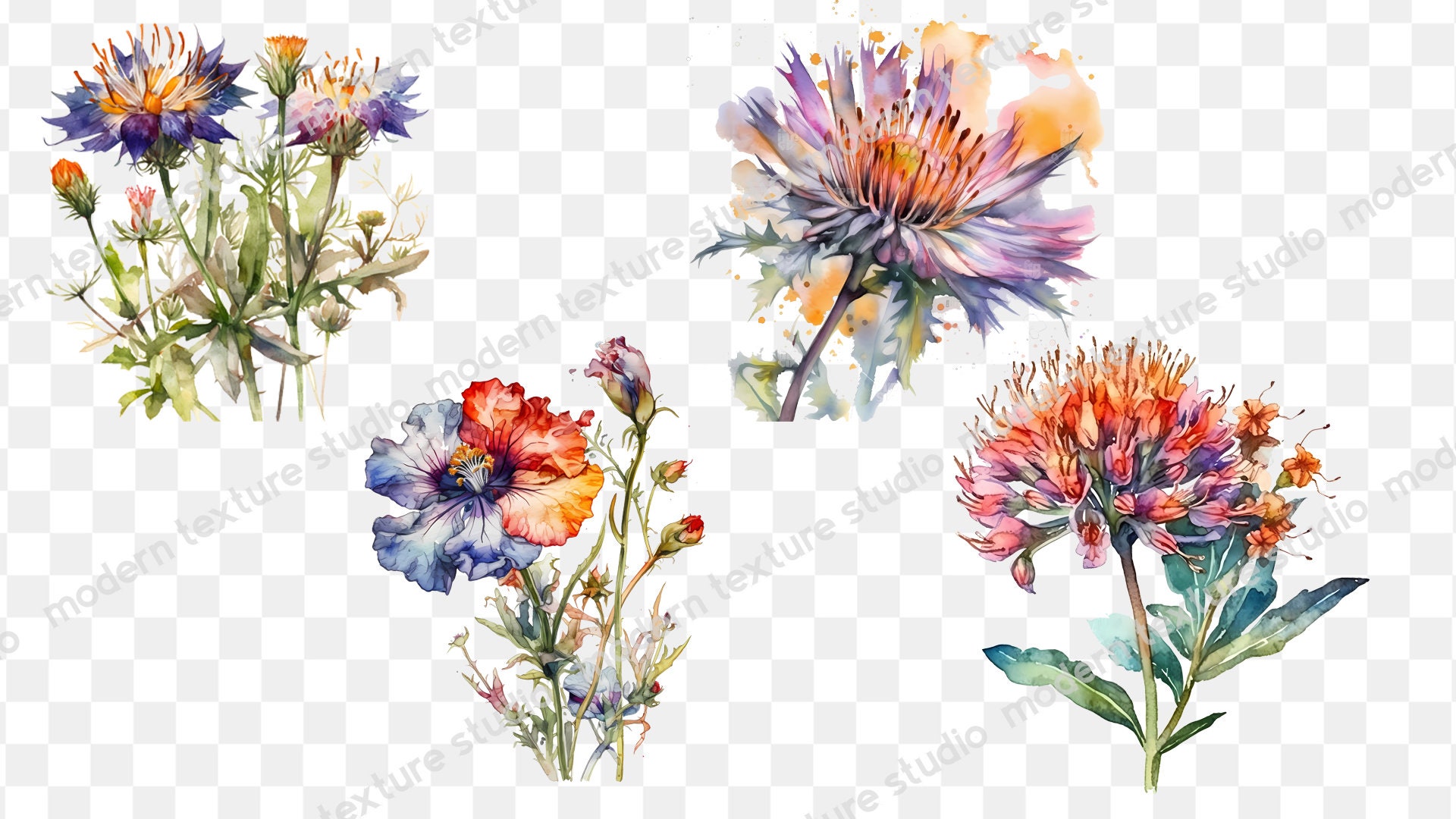 Watercolor Wild Flowers Clipart - 18 Pack Transparent Background ...