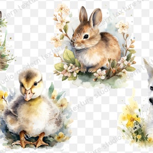 Watercolor Spring Baby Animals Clipart – PNG Images (digital Download ...