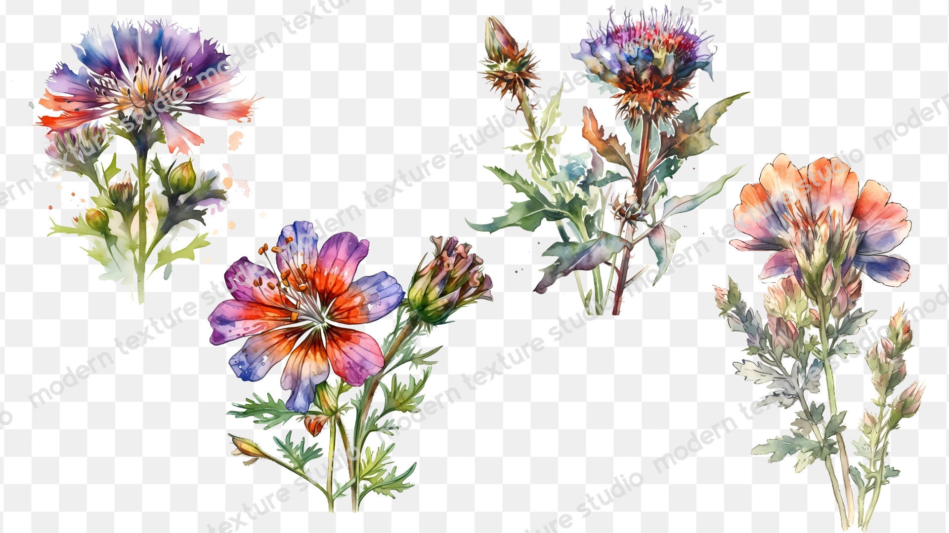 Watercolor Wild Flowers Clipart - 18 Pack Transparent Background ...