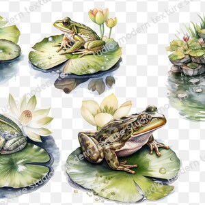 Watercolor Lily Pond Clipart - 18 Piece Transparent Springtime Cute ...