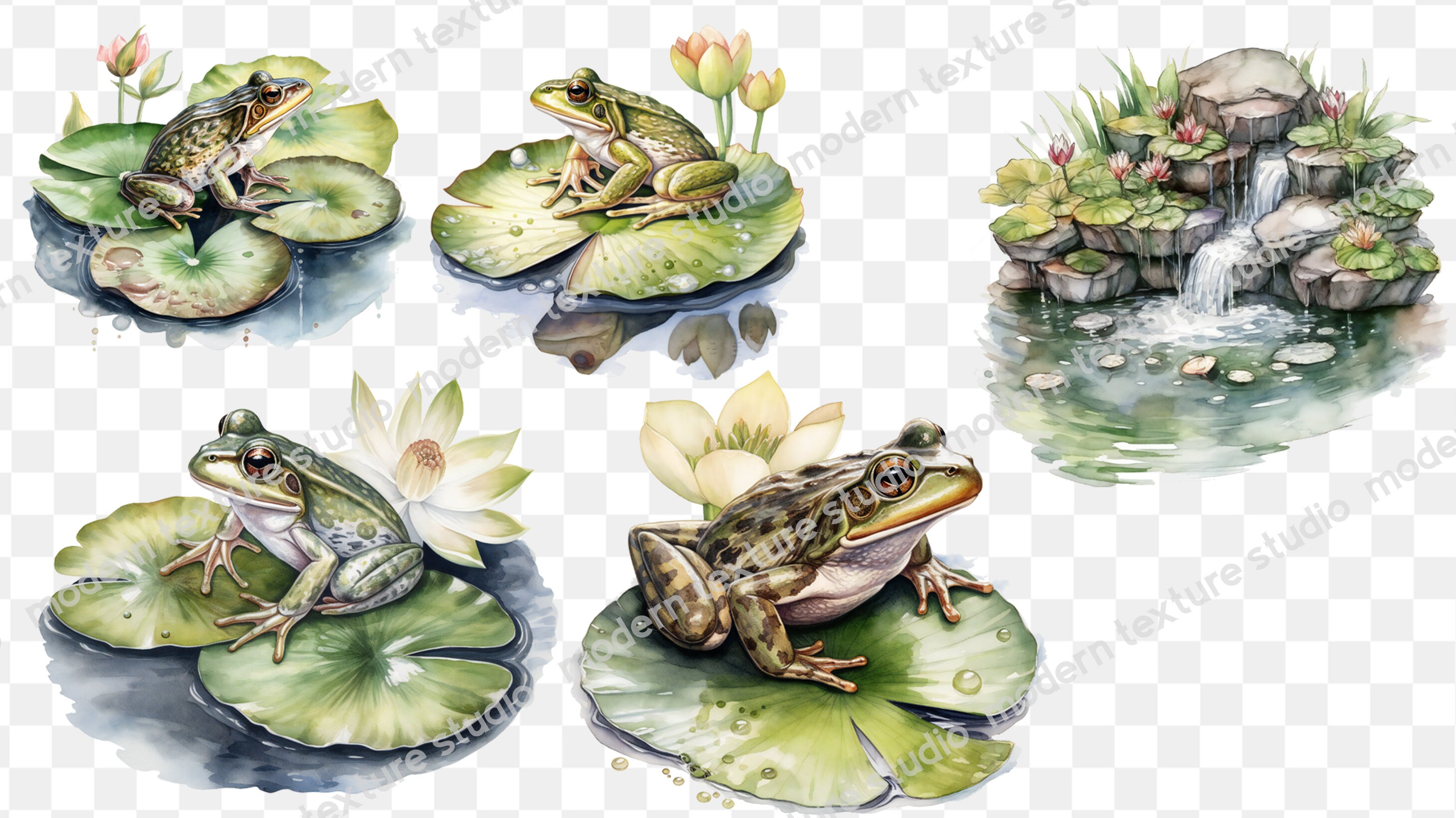 Watercolor Lily Pond Clipart - 18 Piece Transparent Springtime Cute ...