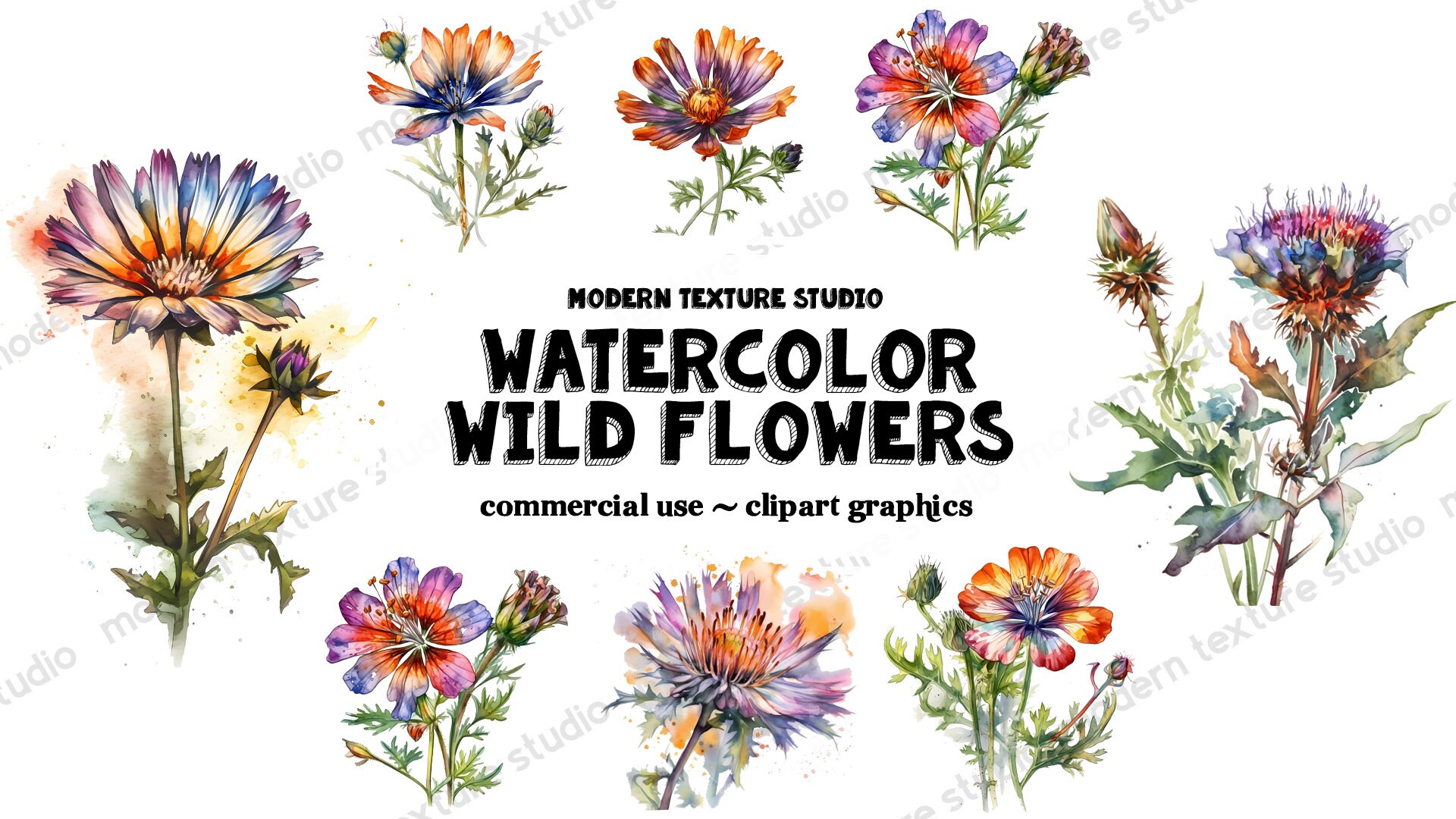 Watercolor Wild Flowers Clipart - 18 Pack Transparent Background ...