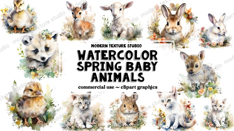 Watercolor Spring Baby Animals Clipart – PNG Images (digital Download ...