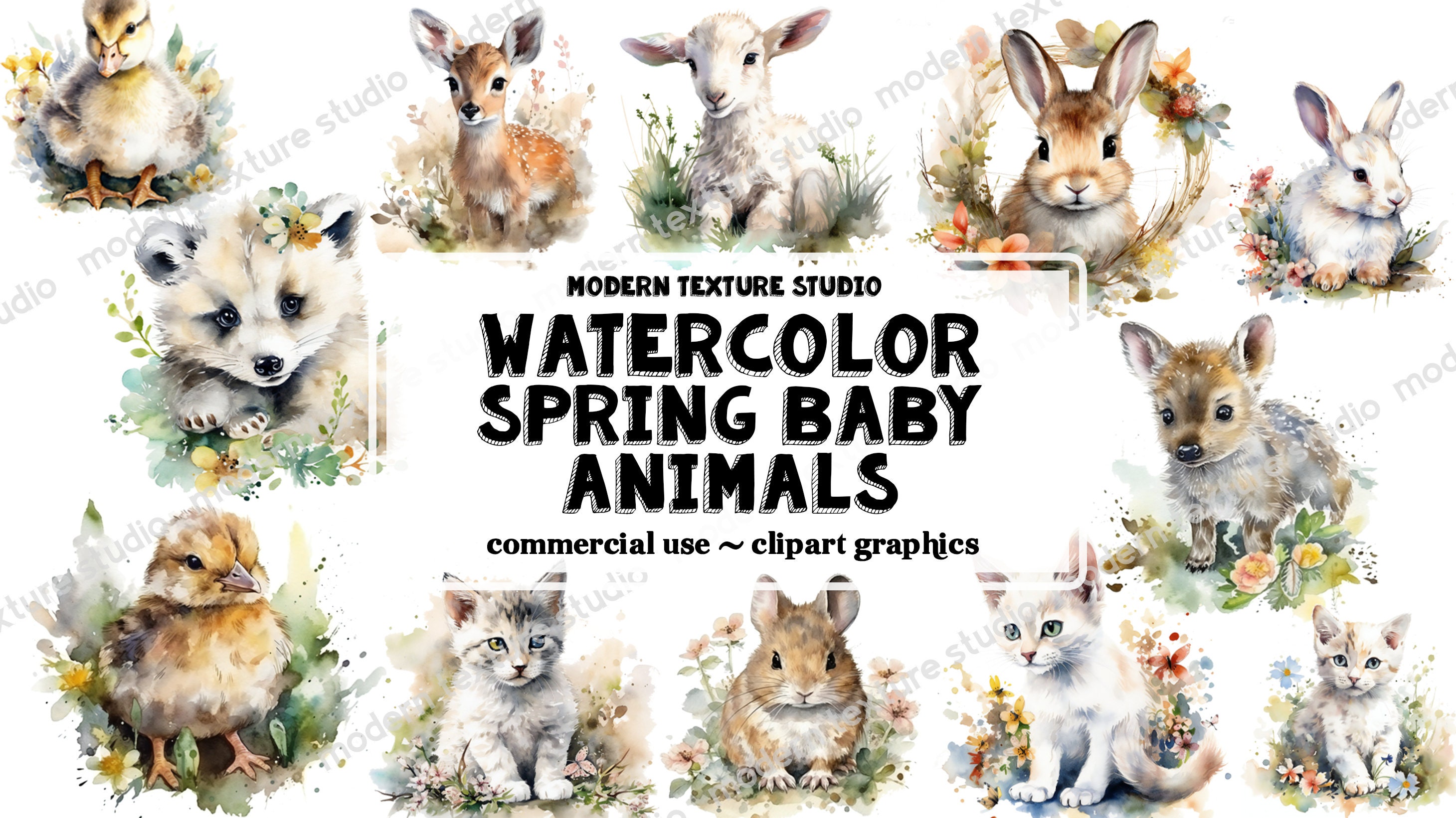 Watercolor Spring Baby Animals Clipart – PNG Images (digital Download ...
